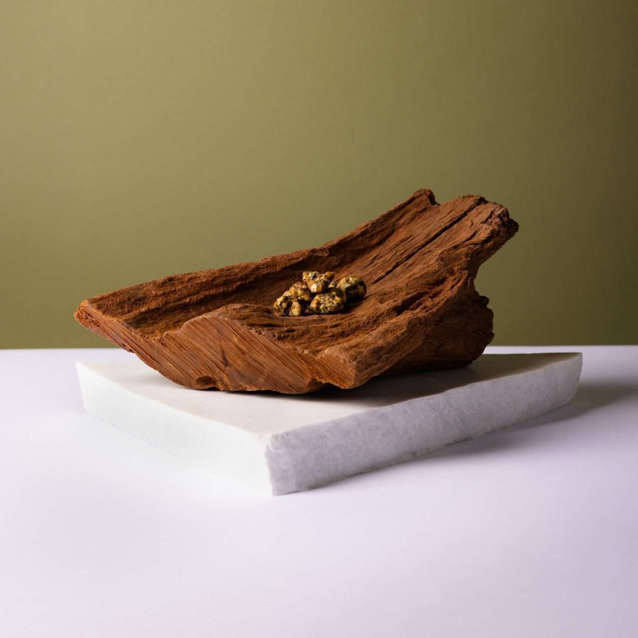 Magic Truffles Atlantis - Primal Focus